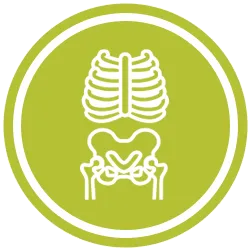 New Patient Special Offer - MSI Integrative Healthcare